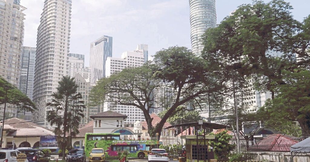 Take care of urban trees – Causeway Traffic :: Live Checkpoints Traffic, Live News and more