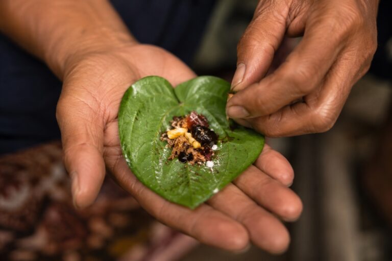 Once a daily ritual, betel chewing is fading fast among Malaysia’s ...
